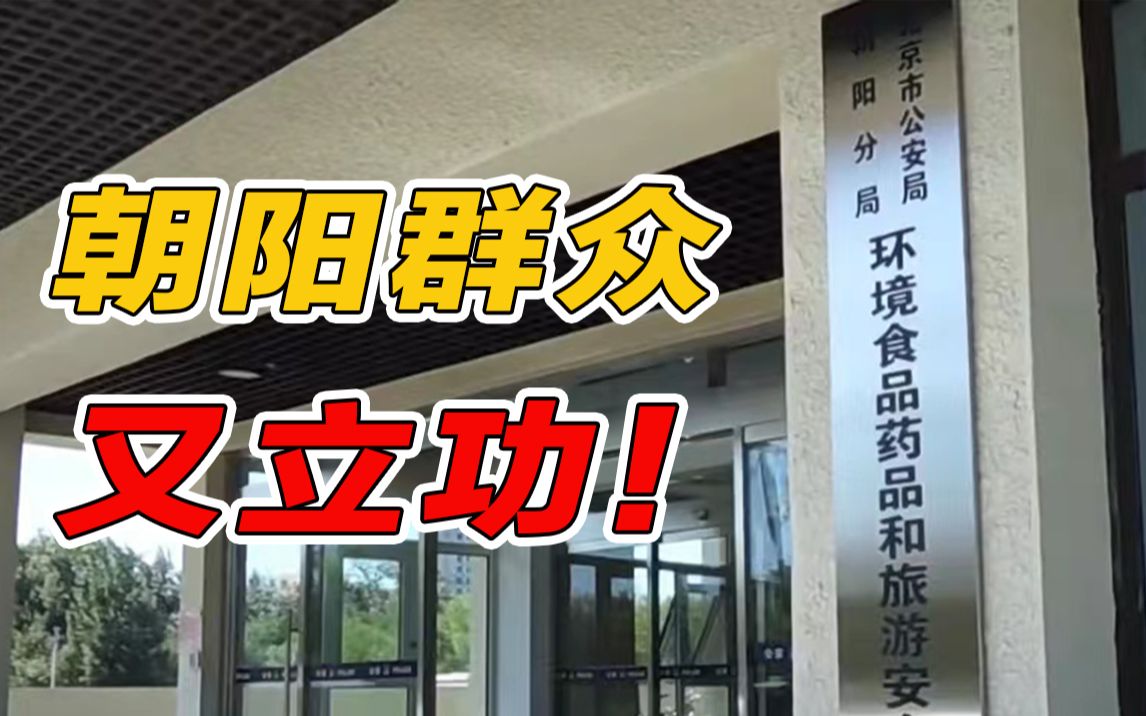 朝阳群众又双叒叕立功了!