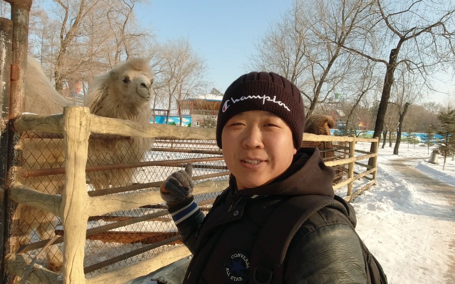 VLOG:在东北动物如何过冬?不是亲眼看见,不敢相信!