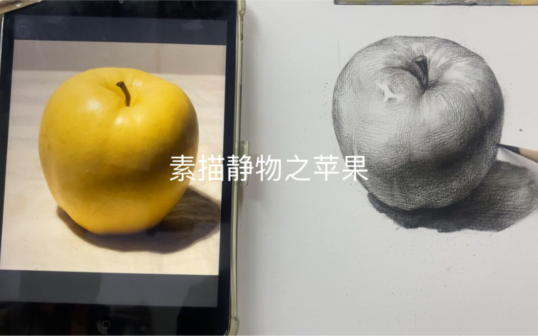素描静物 单体 苹果