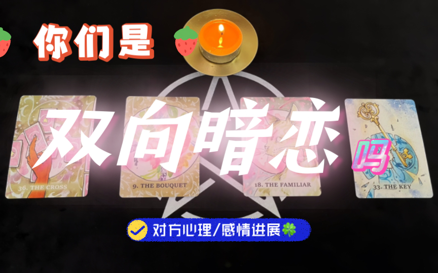 【猫猫塔罗】你和对方是双向暗恋吗?