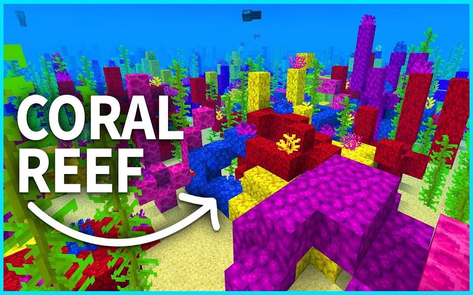 【JerenVids】【1.13更新】新版珊瑚礁种子&生存海岛(快照18w10d)