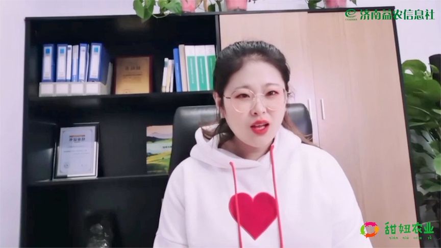 第五讲:发展农村电子商务的基本原则是什么?