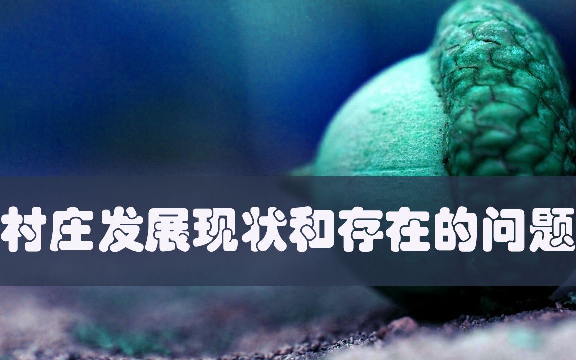 村庄发展现状和存在的问题