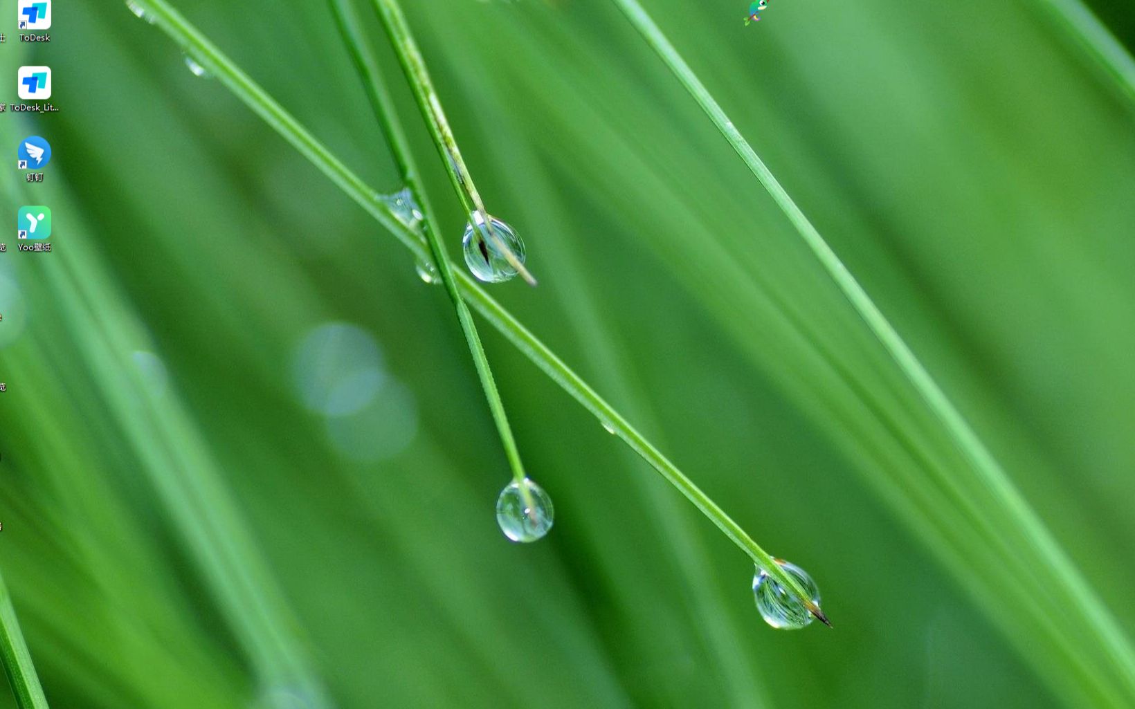 钉钉视频下载软件具体使用步骤