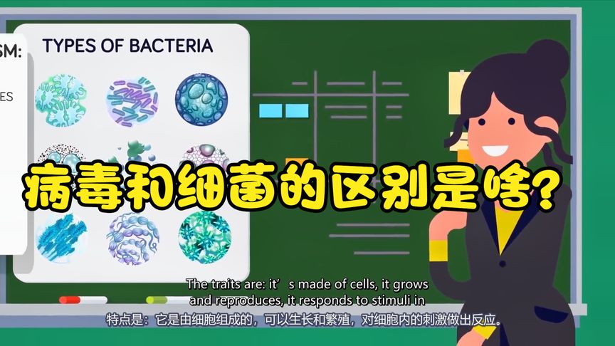 病毒和细菌的区别是啥?