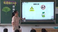 部编教科版小学科学一年级上册《这是谁的叶》优质课视频+PPT课件,...
