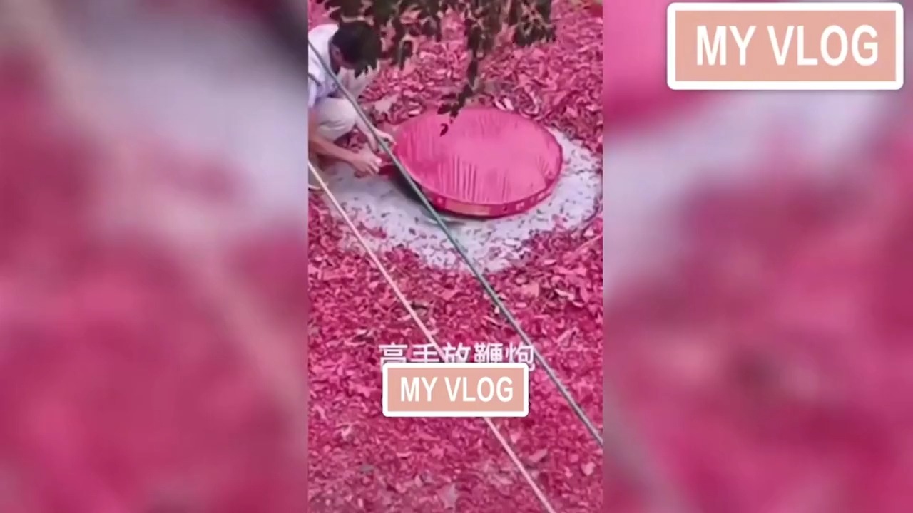 盘点放鞭炮失误名场面,危险动作请勿模仿,放炮需谨慎