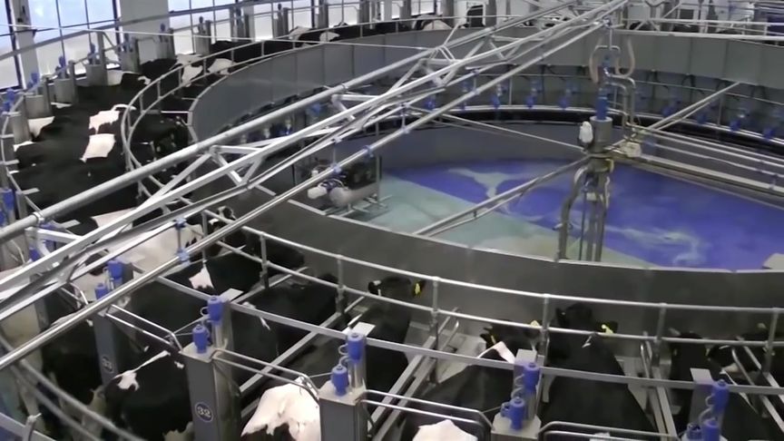 探访最新现代化智能畜牧业养殖工厂,这么大规模的还是第一次见