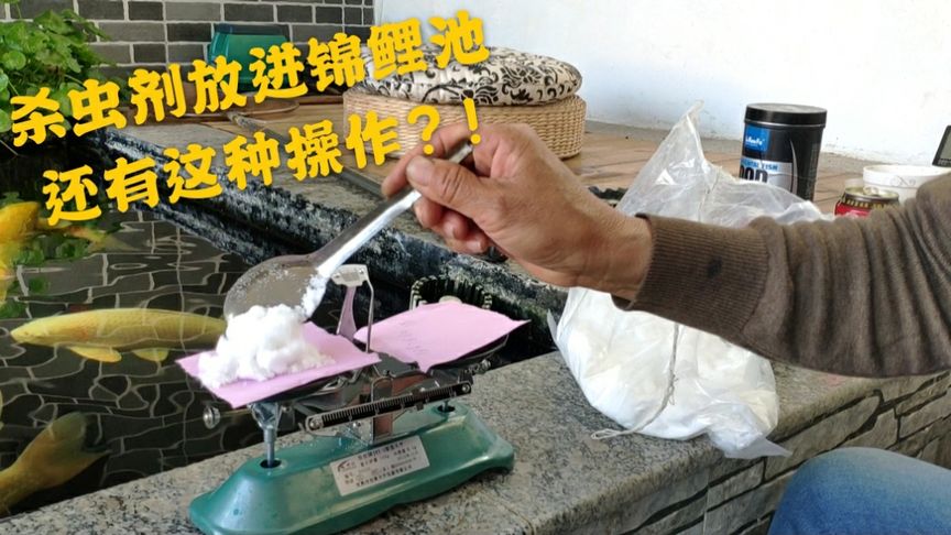 这种杀虫药遇到碱就是敌敌畏,农村马姐却直接放进锦鲤鱼池,why