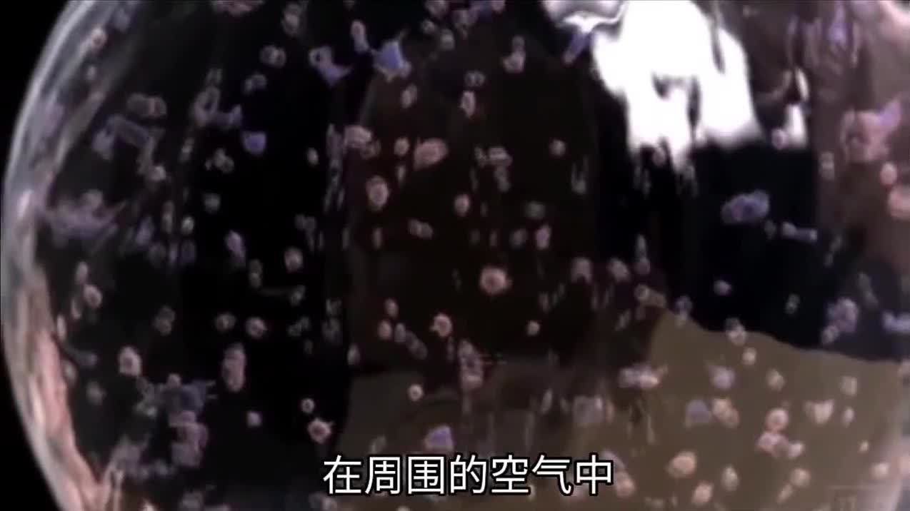 流感病毒侵入人体的过程#科普一下 #免疫细胞 #病毒