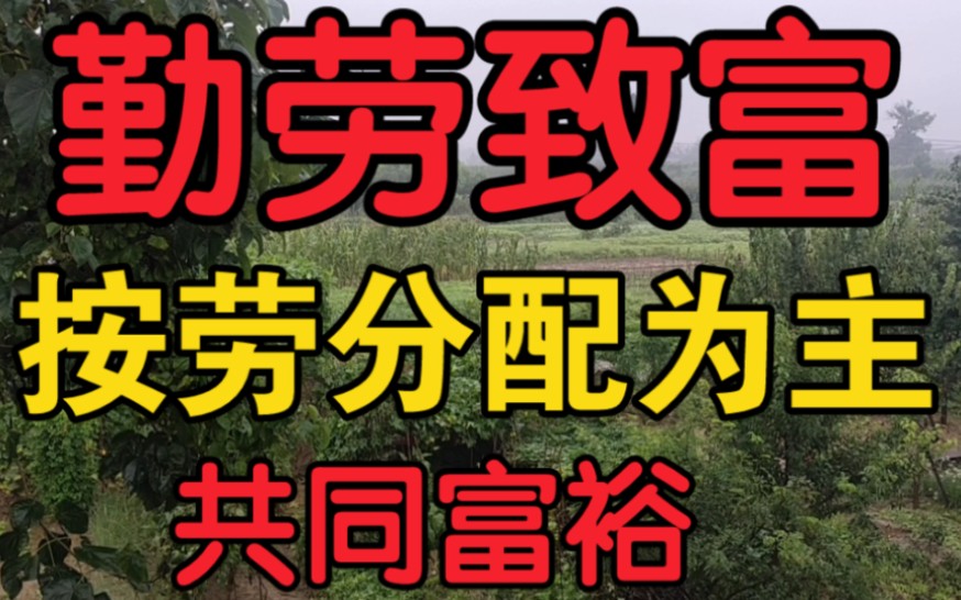勤劳致富,劳动光荣,按劳分配为主体,实现共同富裕