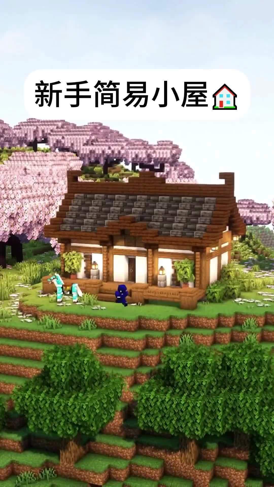 我的世界简易小屋建筑教程