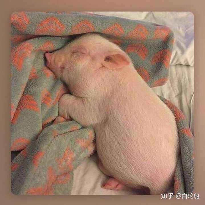 一起睡个好觉 