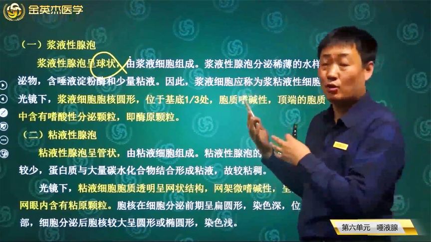 口腔医学综合01口腔组织病理学06唾液腺02涎腺的基本结构01腺泡
