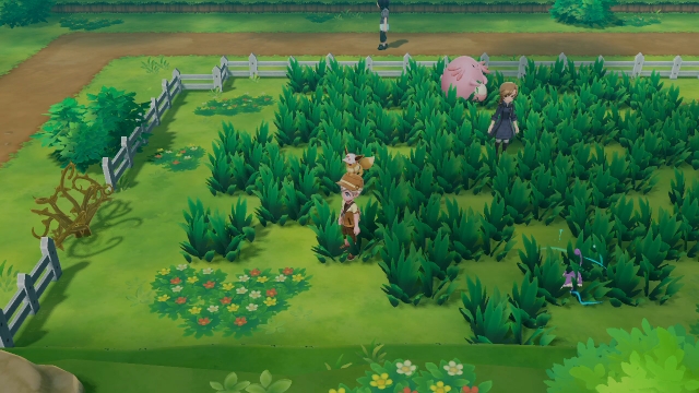 『Let's Go ! 伊布』阿哈!六尾。