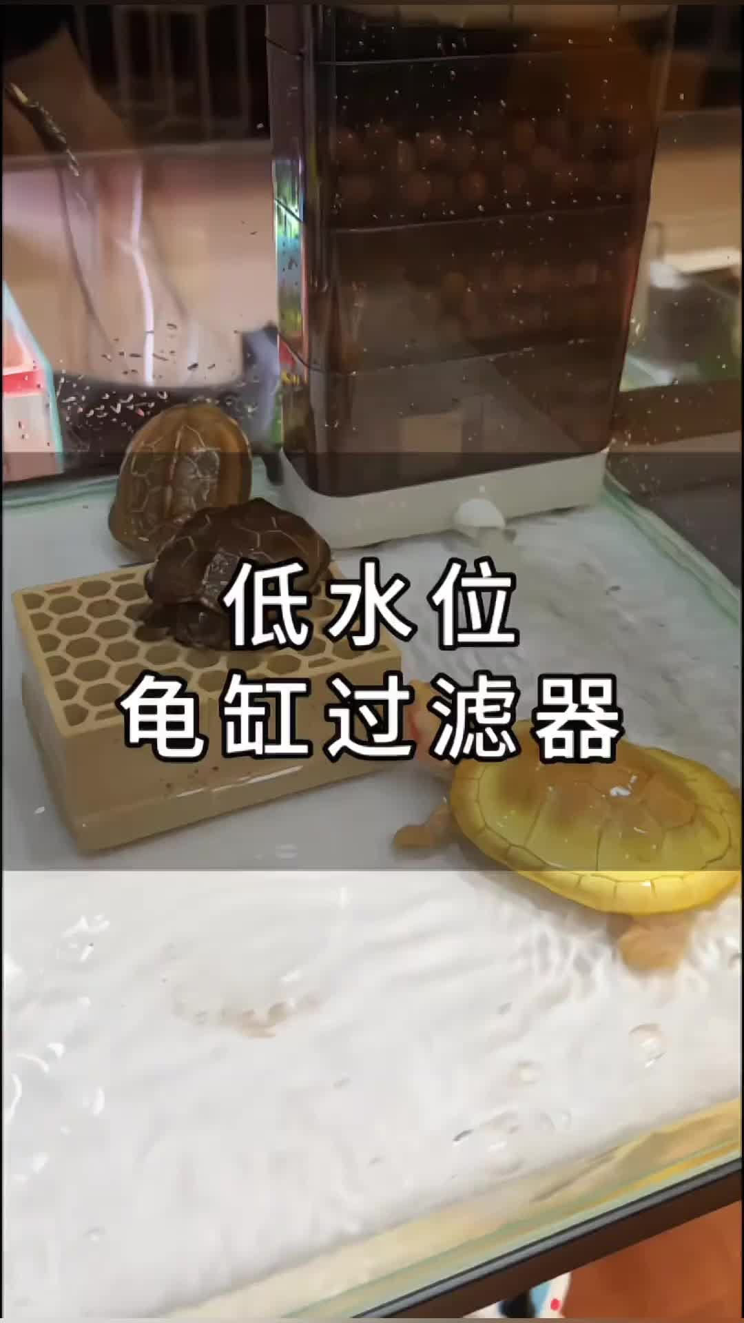 养龟总是担心水质不好影响龟的状态?这款低水位过滤设备能帮大忙。...