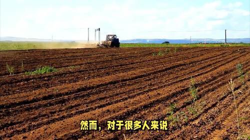 一晌地是多少亩?深度解析土地面积单位换算