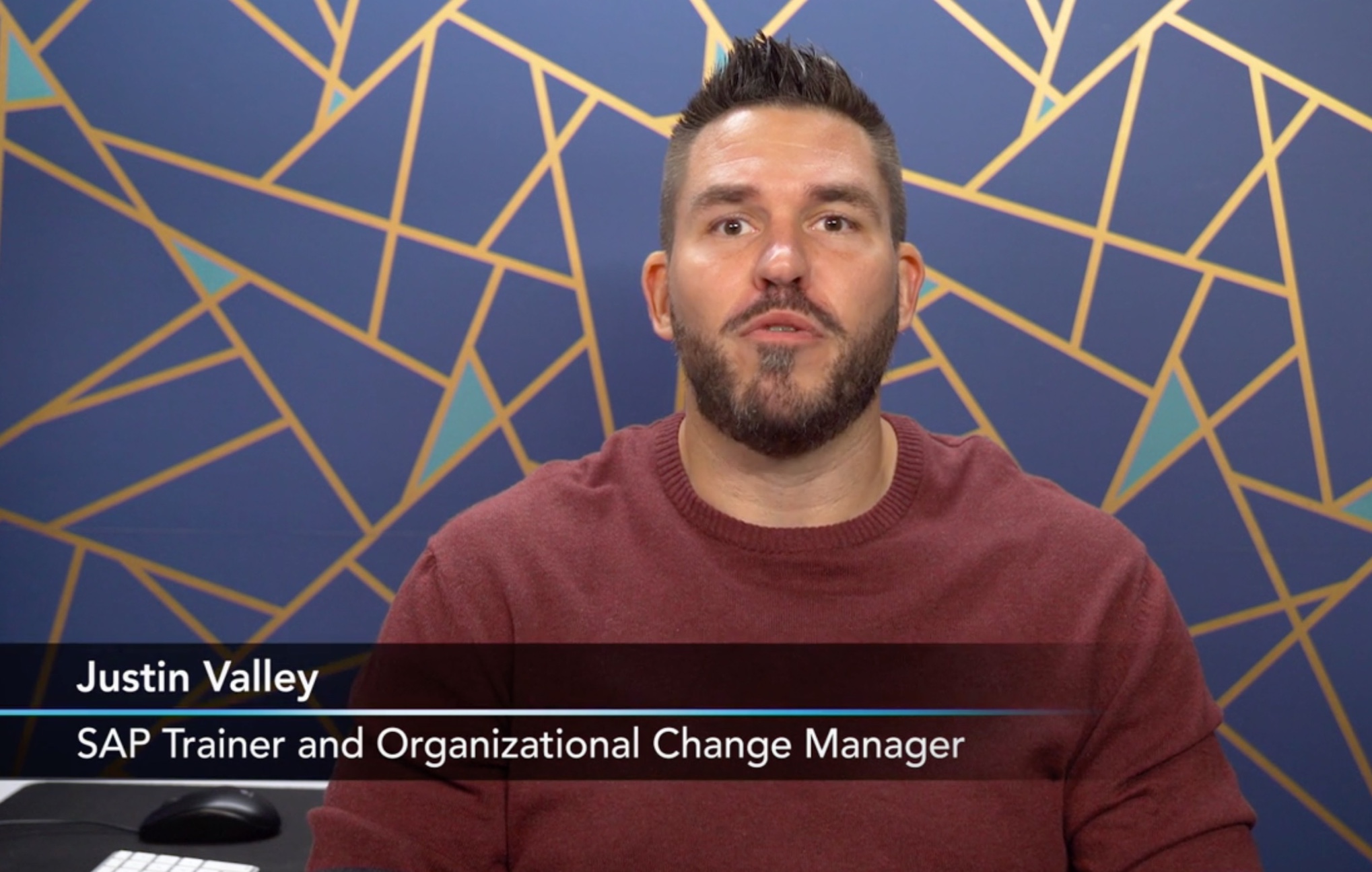 SAP ERP: Beyond the Basics