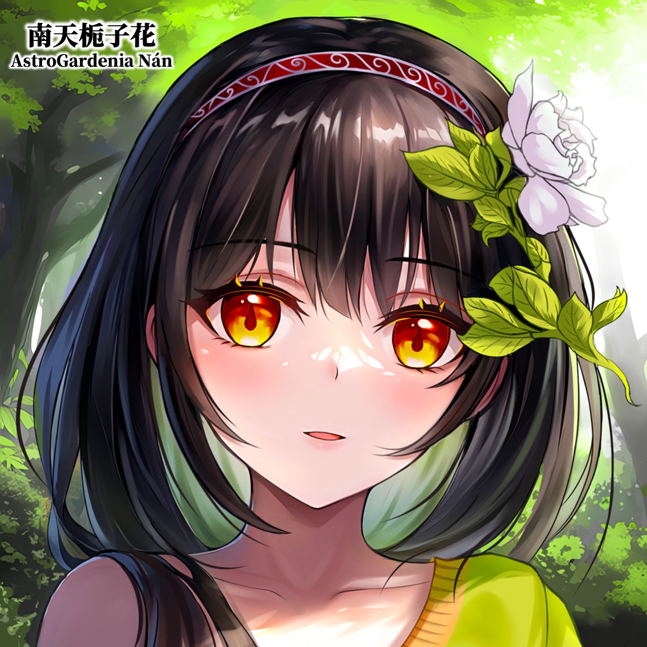 南天栀子花 