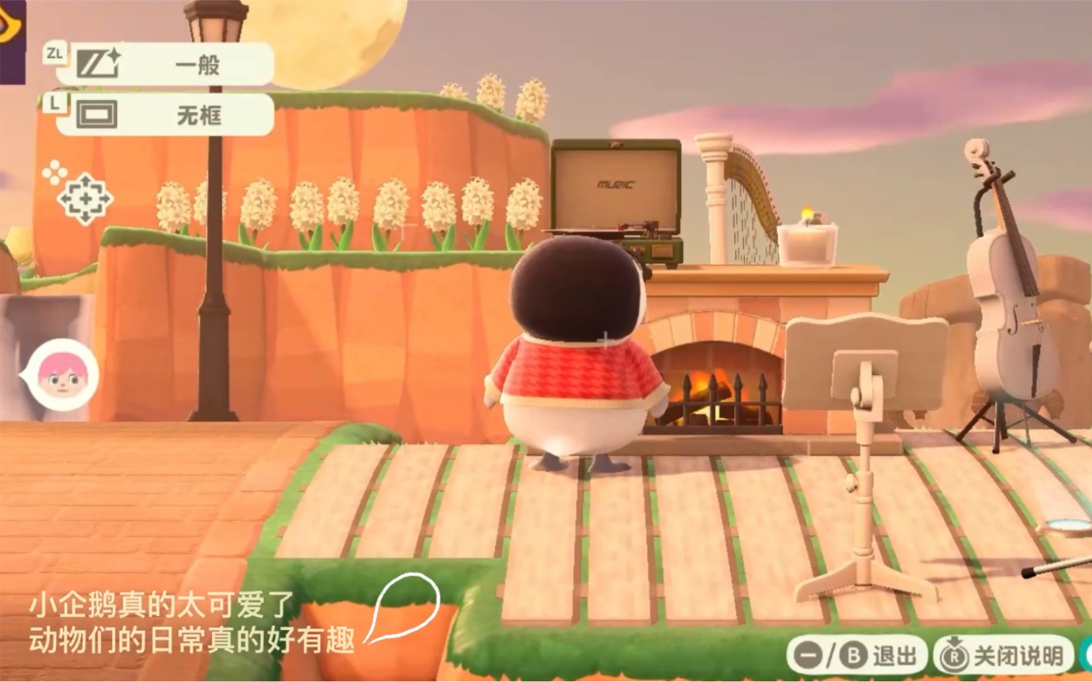 动物森友会|岛屿建设完结|小岛日常