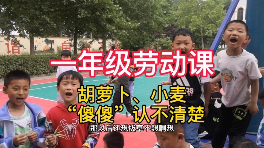 一年级劳动课,学生走进劳动实践基地,累并快乐着!