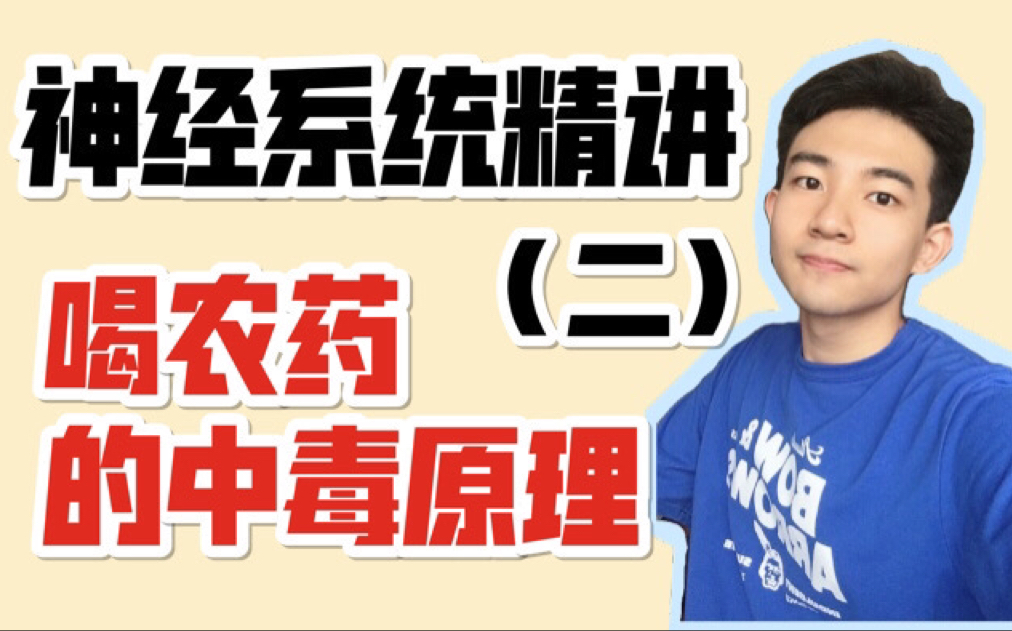 高中生物|神经系统精讲(二)|突触知识精讲|有机磷类农药中毒原理