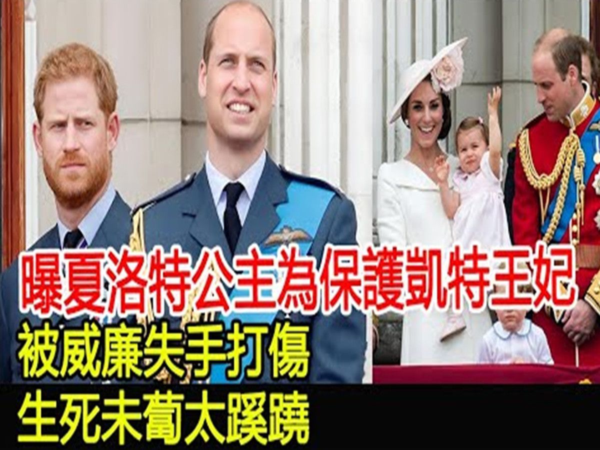 曝夏洛特公主为保护凯特王妃,被威廉失手打伤,生死未卜太蹊跷!
