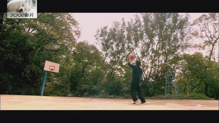 小伙这投篮命中率,就算是科比也不可能这么准吧