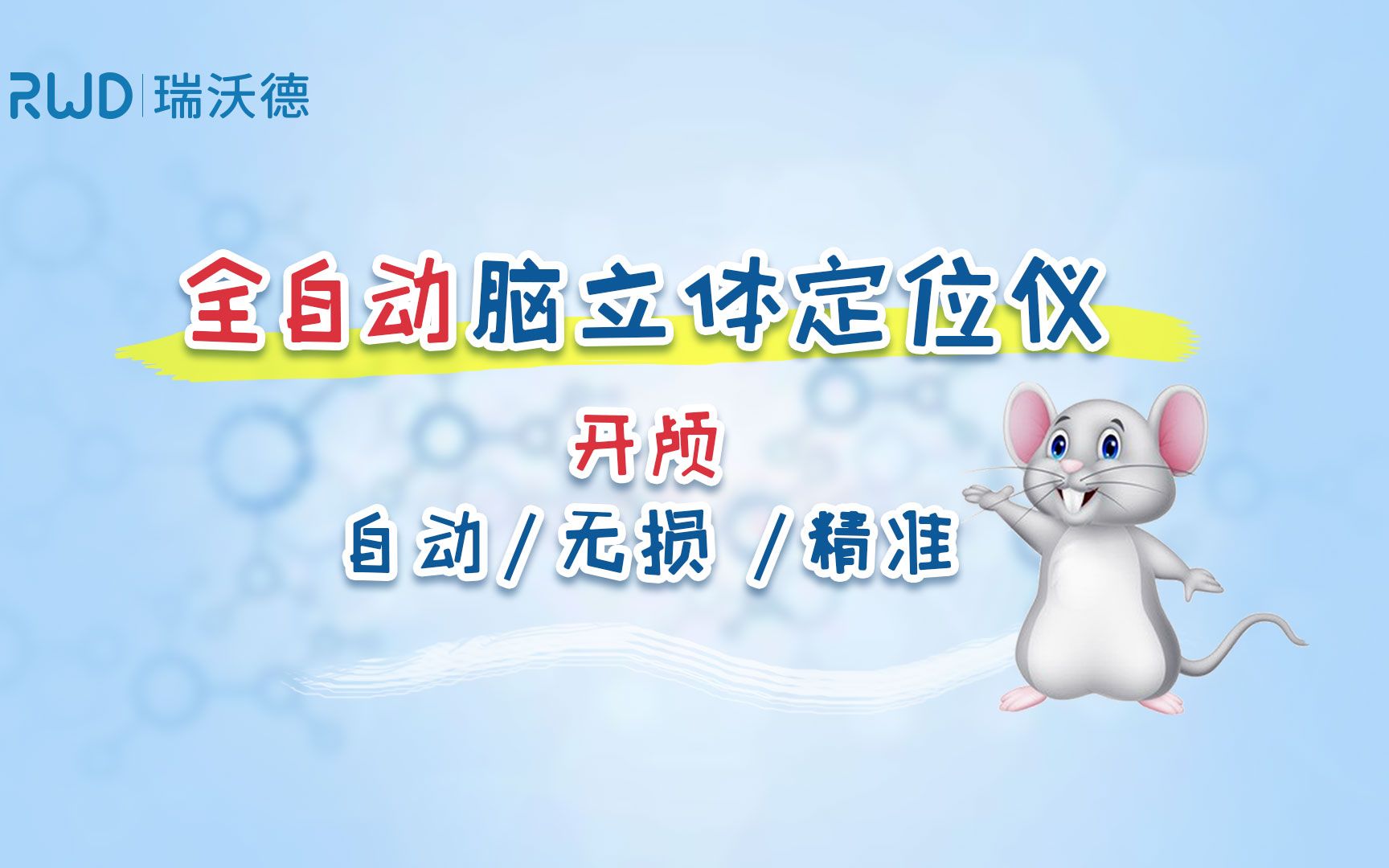 【神经科学动物实验】大小鼠怎么快速、精准开颅?