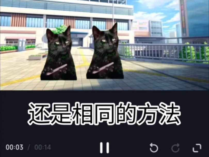 怎么做猫meme视频《全网最详细教程》