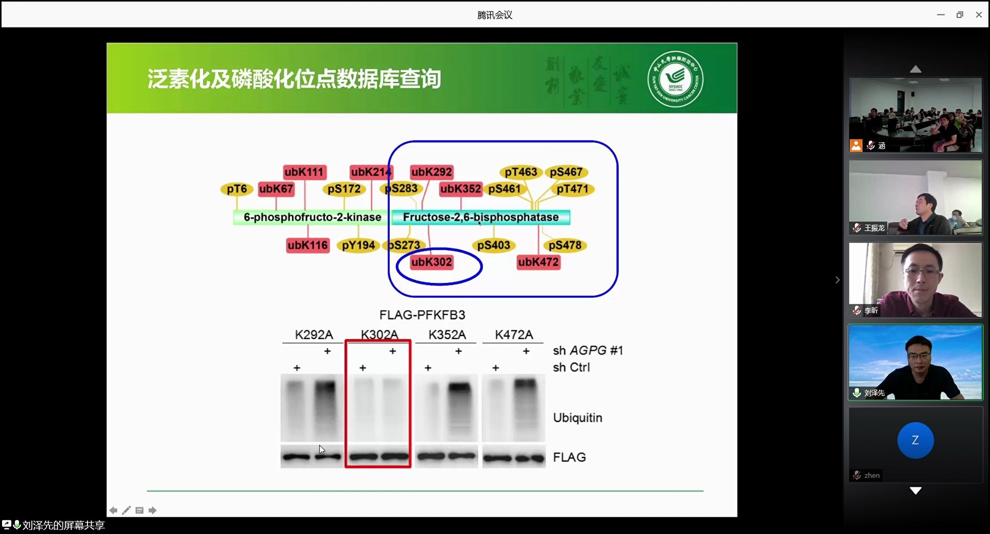 蛋白质翻译后修饰大数据驱动的肿瘤研究2