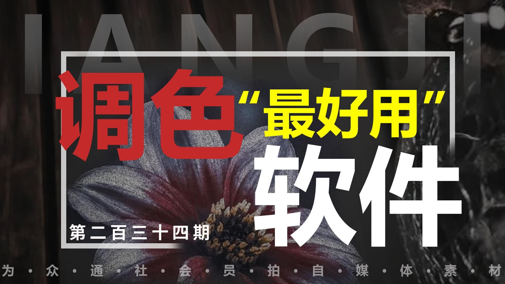 解相机RAW格式文件调色最好的软件是?