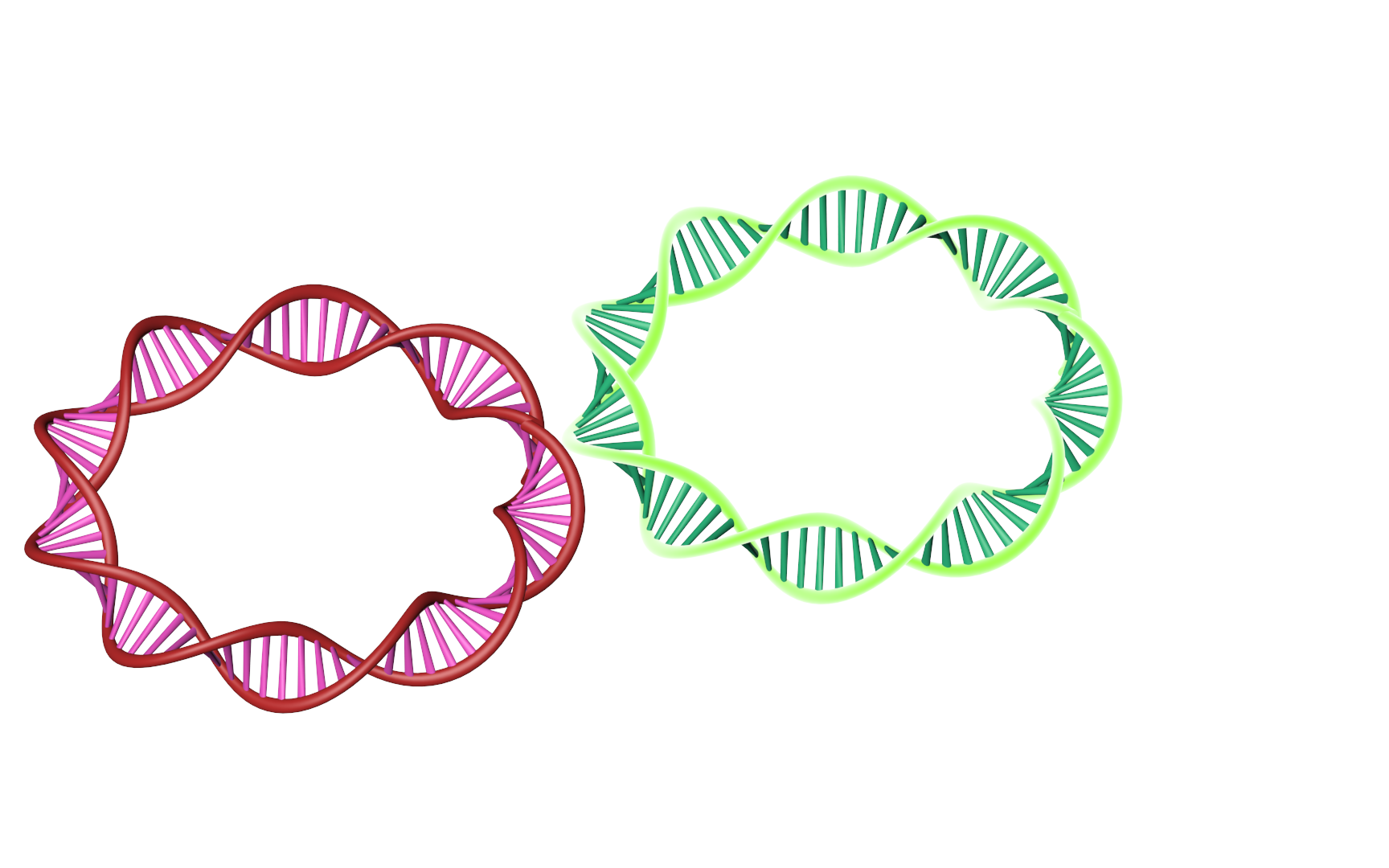 3d max 5分钟画DNA质粒