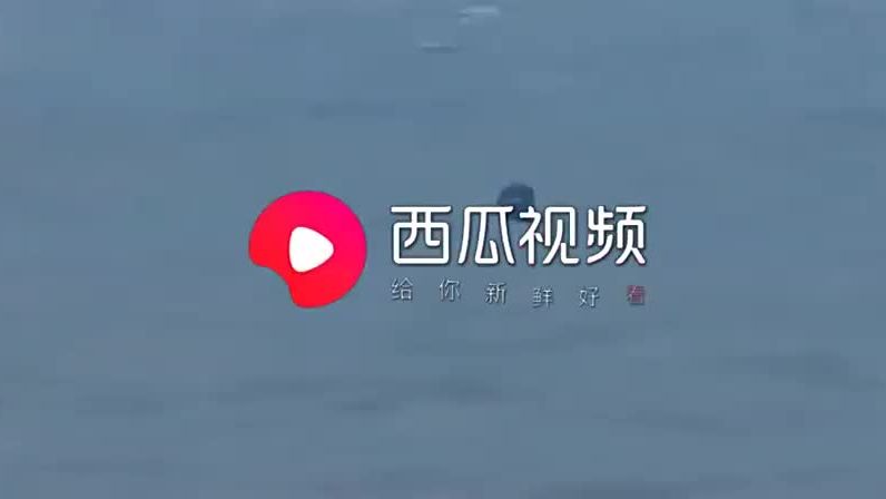 海上飘着不明物体,海军认为是浮标,谁知舰长一看直接下令开炮