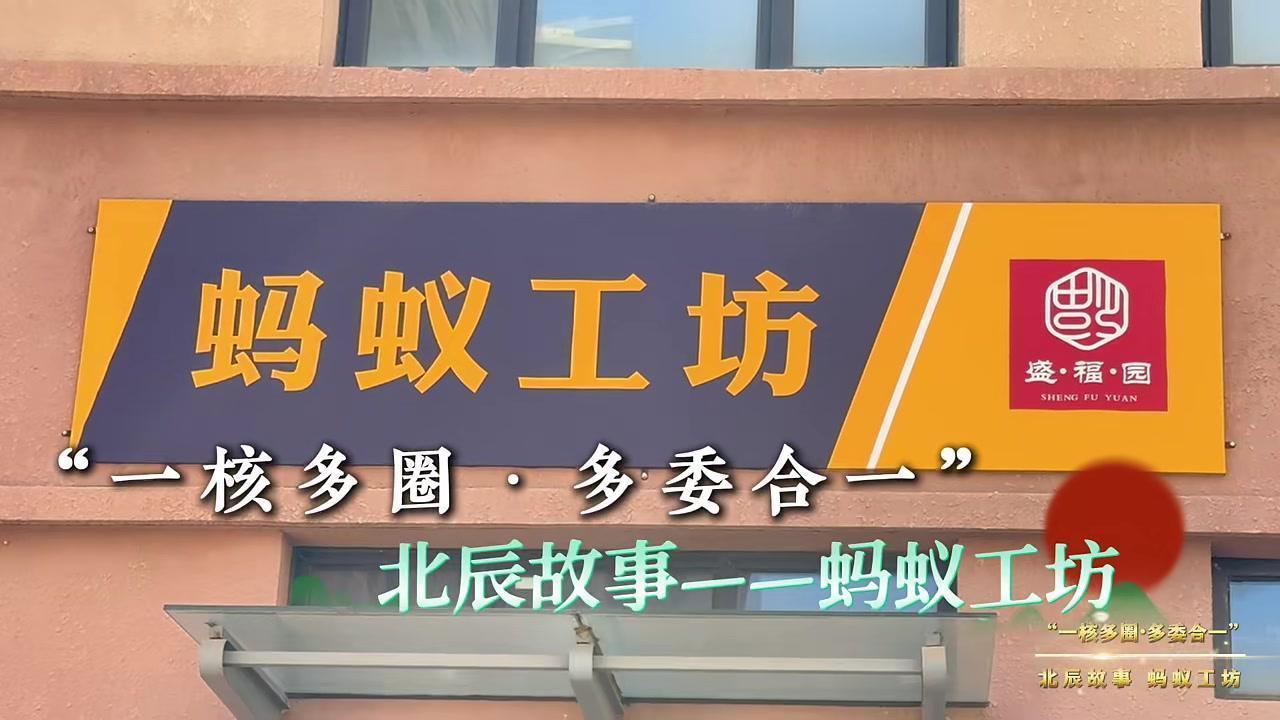 ...街道盛福园社区充分发挥基层党组织在社区治理中的领导核心作用,...