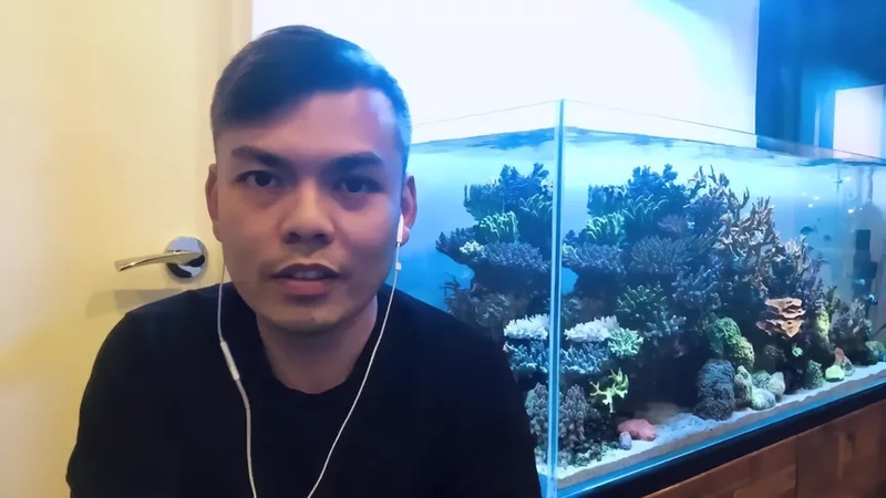 过滤桶罐式过滤礁石水箱的技巧和秘诀!Canister Filter Reef