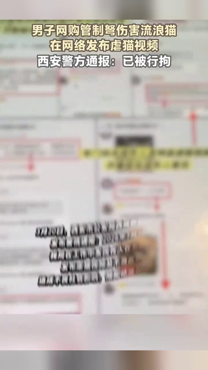 男子购买管制弩伤害流浪猫、发布虐猫视频,西安警方通报:已行拘