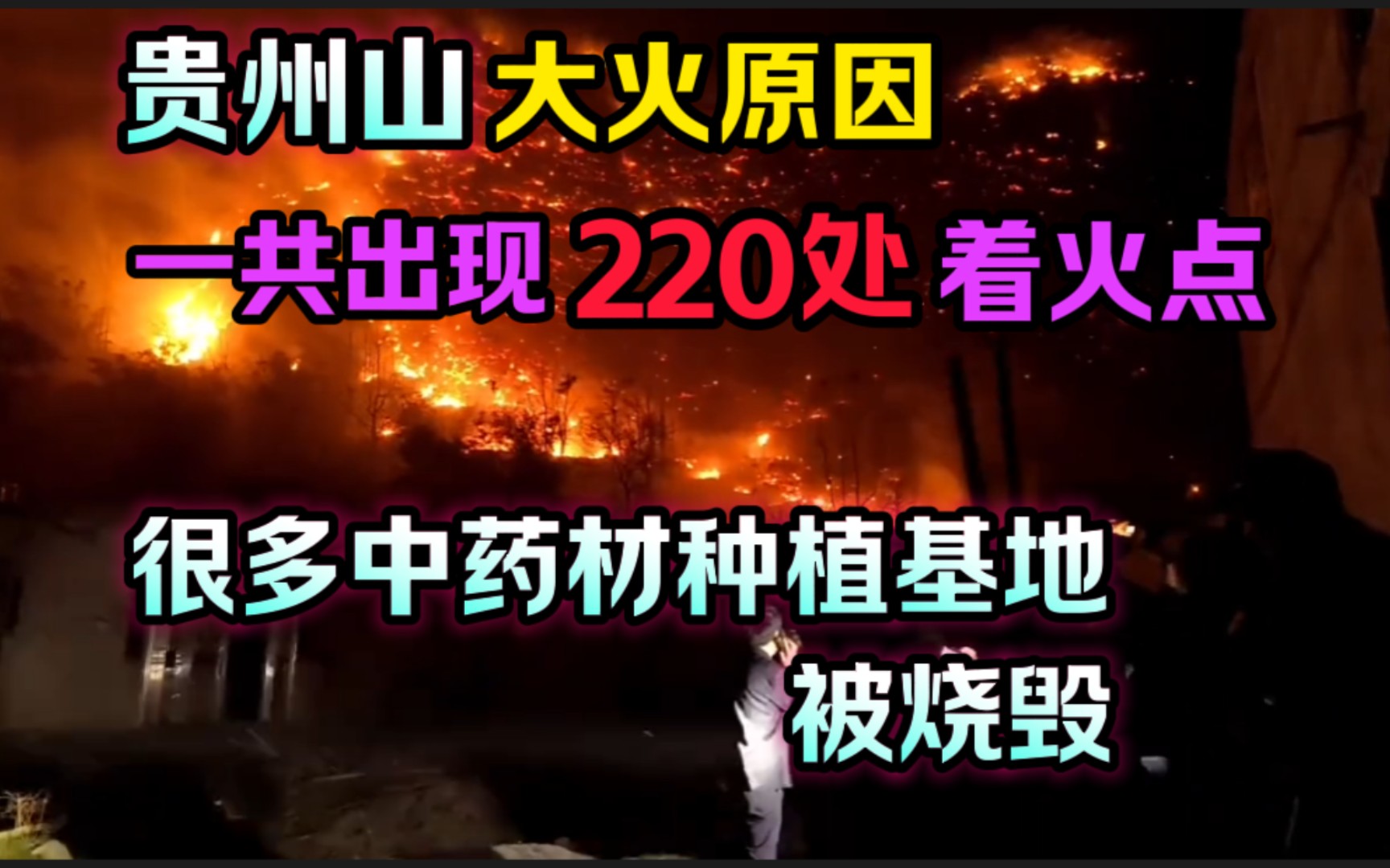贵州山 大火原因!居然出现“220”处着火点!很多中药材种植基地被烧毁!