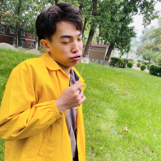 宋少侠侠侠 