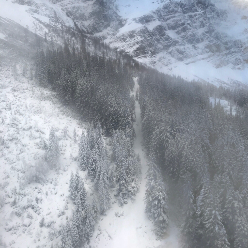 弦乐乐乐乐乐乐啊 