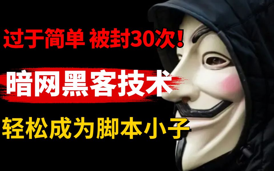 过于简单,被封30次!800集暗网黑客教程,从入门到入狱!网络安全/web...