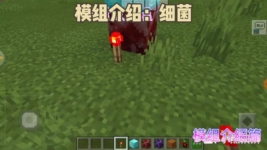 我的世界模组介绍篇,第1期,细菌。