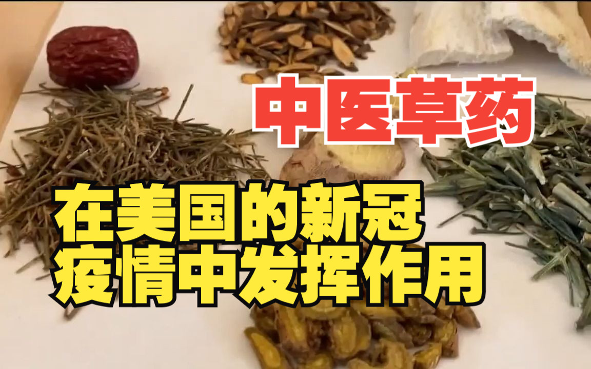 ...认为是小众的辅助性的医疗手段,在美国对抗新冠疫情中也发挥了作用。