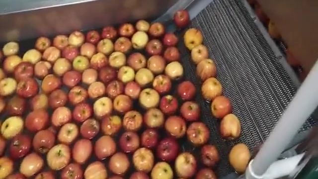 二氧化氯在水果清洗去农残留消毒杀菌的应用