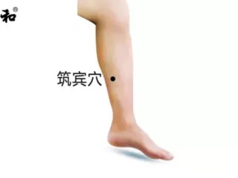 将象和中医艾灸针灸取穴: 筑宾穴