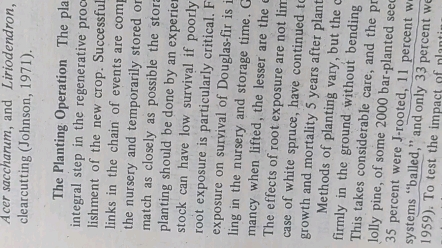 森林培育原理,树木种植