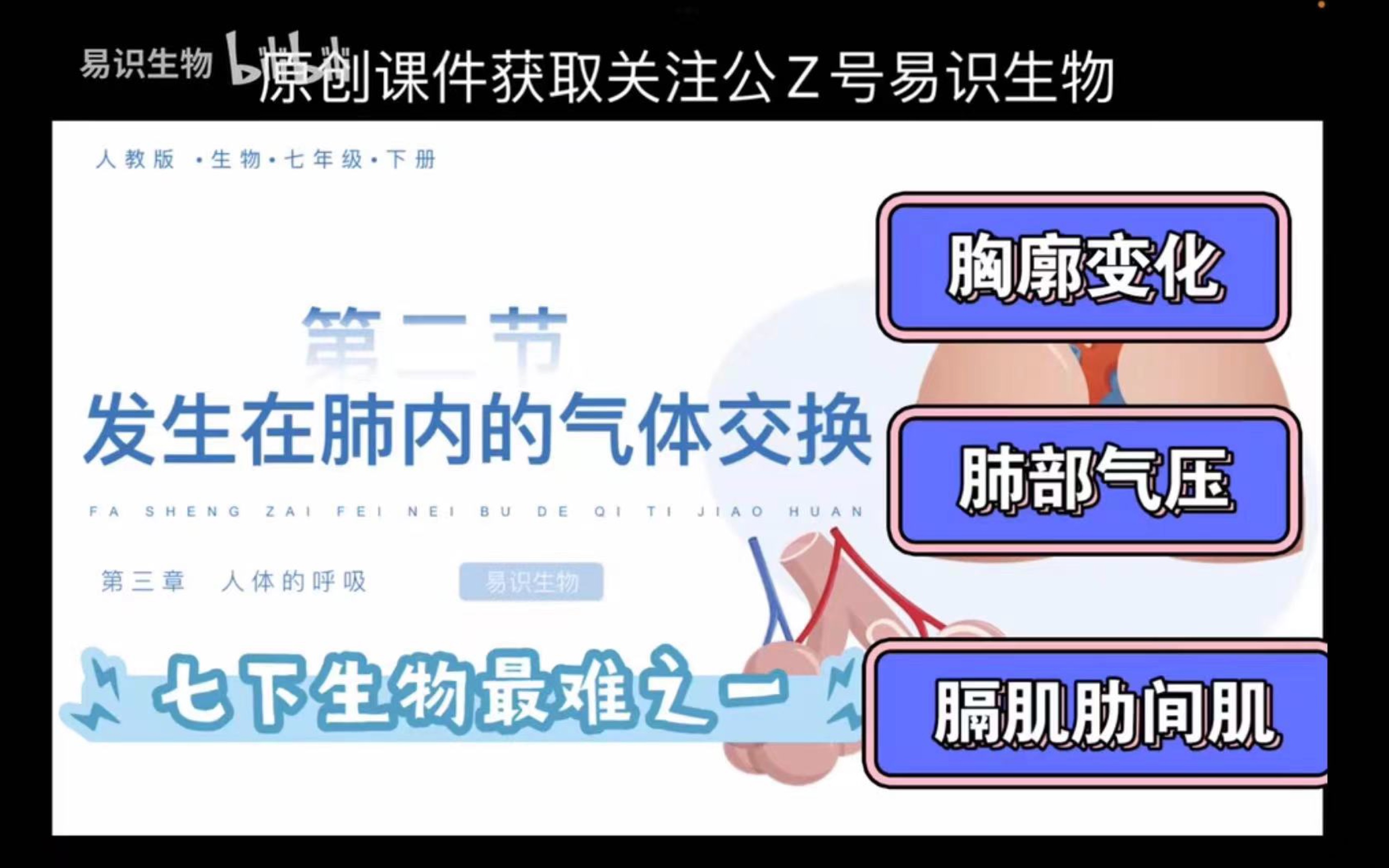 七下生物|课本精讲|《发生在肺内的气体交换》