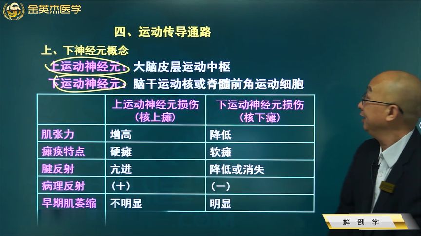 解剖学09神经系统04运动传导通路01上、下神经元损伤,椎体系特点