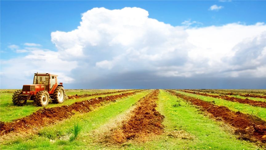 爱绿护绿,保护环境;勤俭节约,珍惜资源