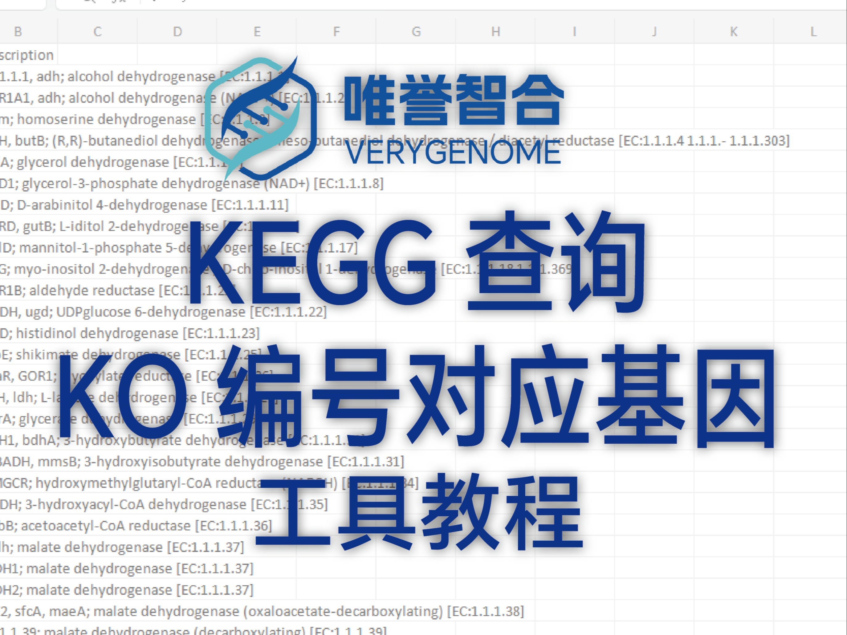 KEGG查询KO编号对应基因,KO编号查基因,你用对了吗?